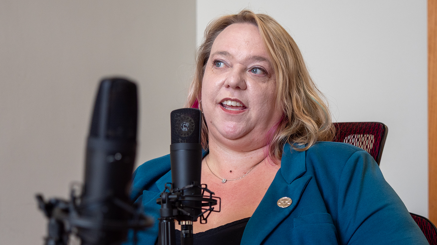 Leader of Kansas public defender office resigns in face of budget cuts ...